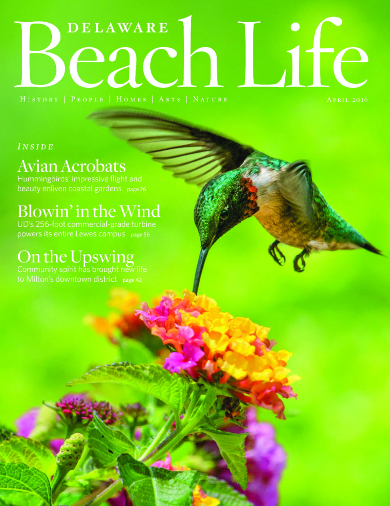 Member Magazines – International Regional Magazine Association